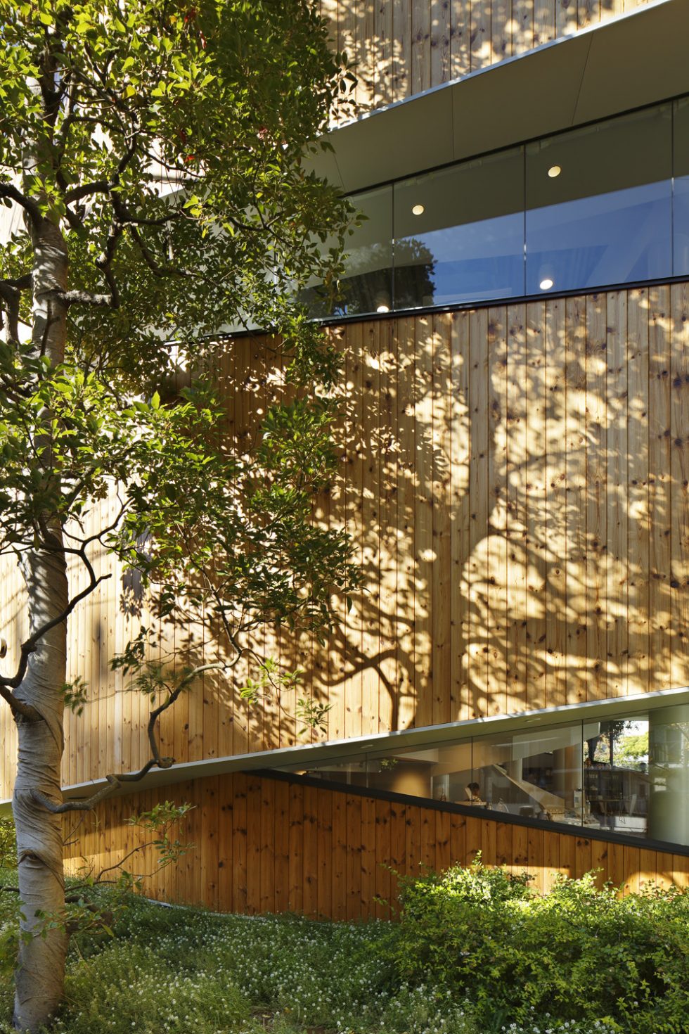 Sarugaku Cyclone | Hiroshi Nakamura & NAP｜中村拓志＆NAP建築設計事務所