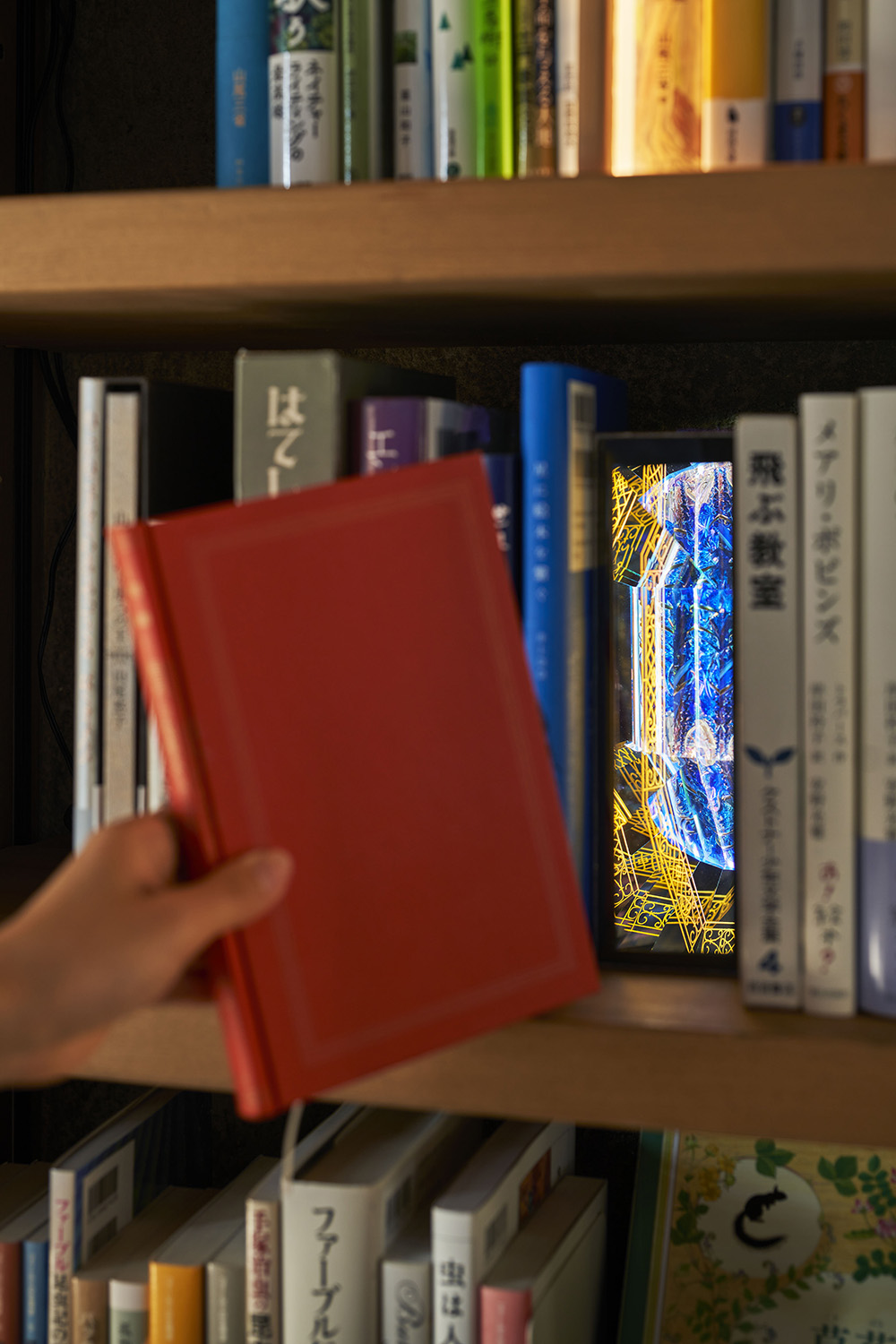 Library in the Earth | Hiroshi Nakamura & NAP